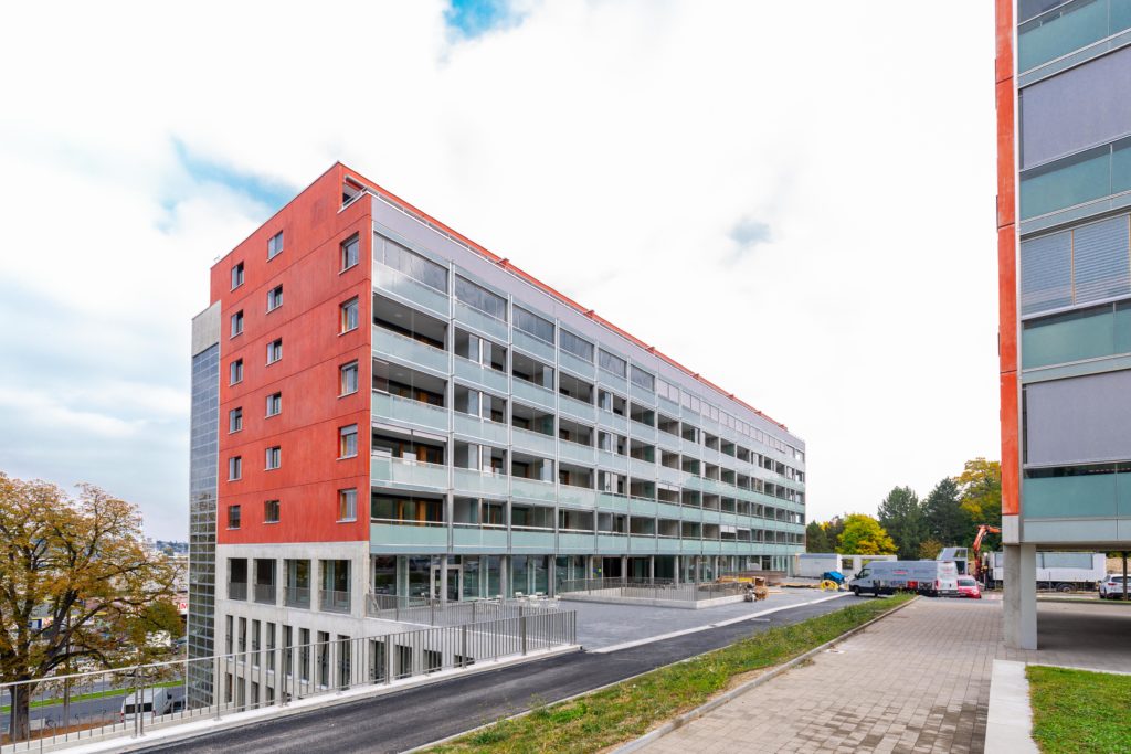 Vigne rouge • imad - Aide et soins à domicile du canton de Genève